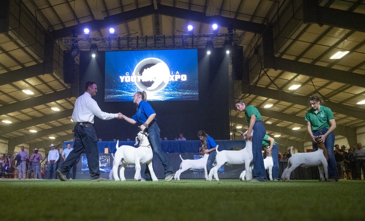California Youth Ag Expo - the West Coast's elite livestock show ...